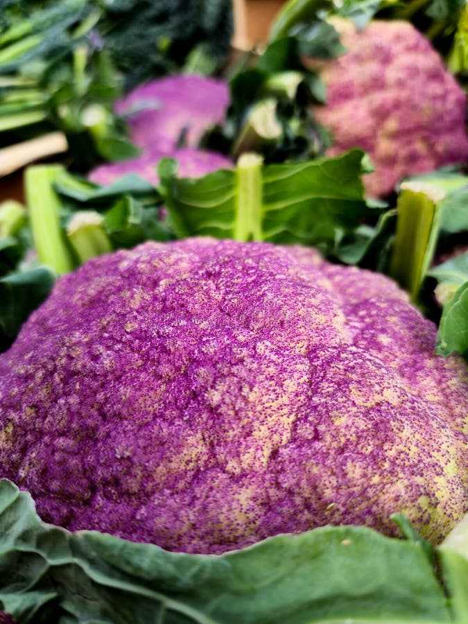 Purple fair ground ride stock photo. Image of thrill - 112230920