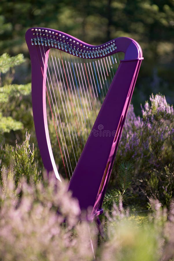 Purple celtic harp stock image. Image of music, elegance - 228026651