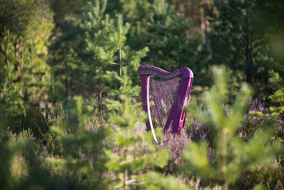 Purple celtic harp stock image. Image of isolated, light - 228026579