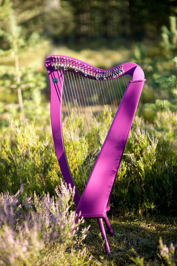 Purple celtic harp stock image. Image of music, elegance - 228026651