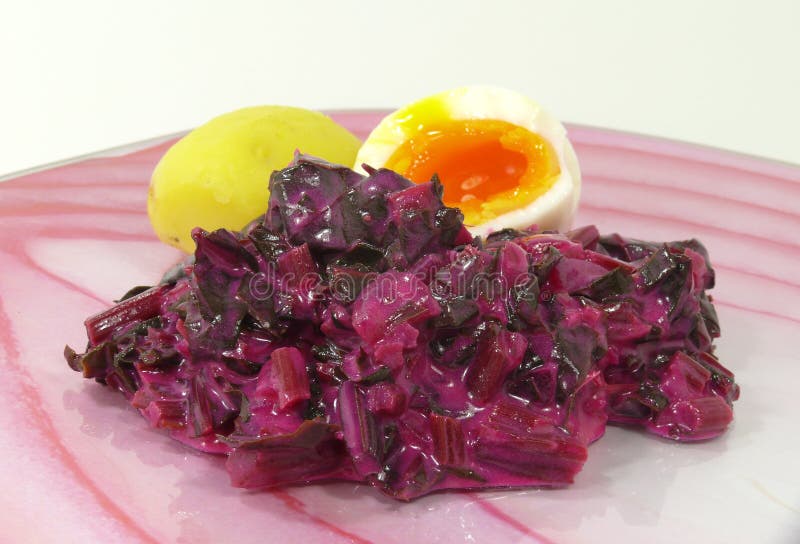 Purple chard stock photo. Image of purple, vegetarian - 61478230