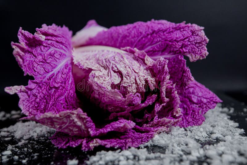 Purple Chinese Cabbage on Black Background Stock Photo - Image of ...