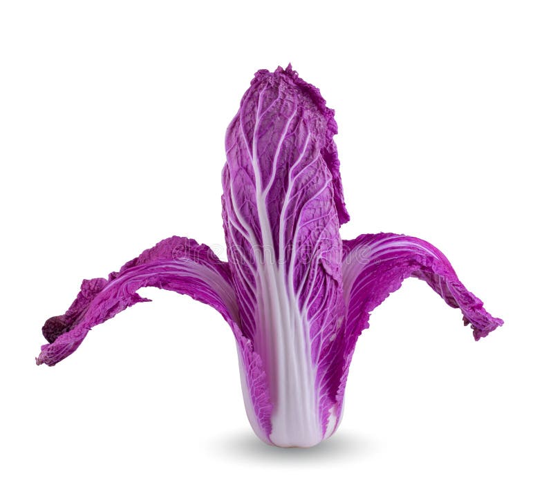 Purple Chinese Cabbage Isolated on Alpha Background Stock Image - Image ...