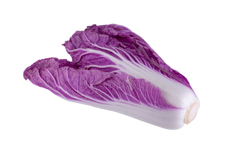 Purple Chinese Cabbage Isolated on Alpha Background Stock Photo - Image ...
