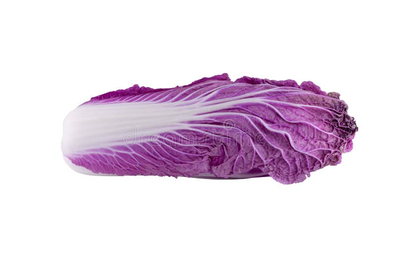 Purple Chinese Cabbage Isolated on a White Background Stock Photo ...
