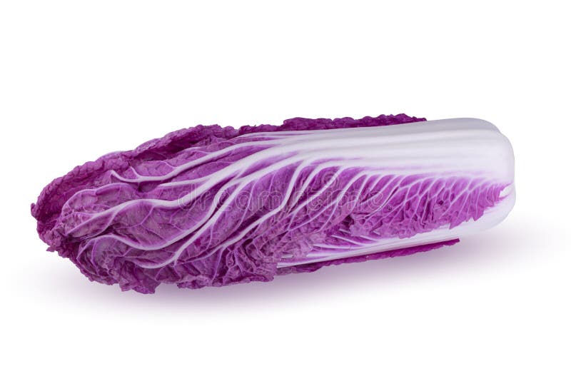 Purple Chinese Cabbage Isolated on a White Background Stock Photo ...