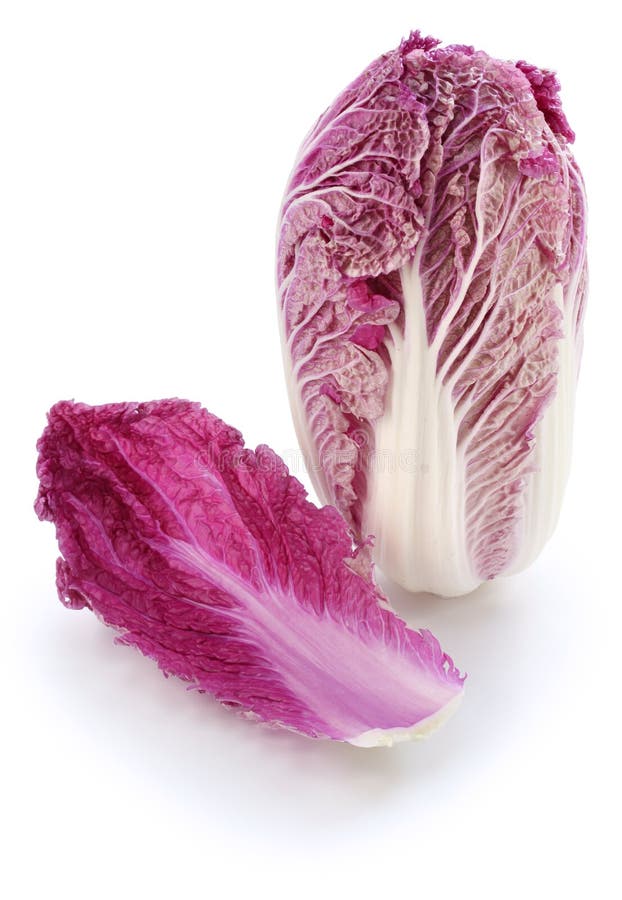 1,535 Purple Chinese Cabbage Stock Photos - Free & Royalty-Free Stock ...