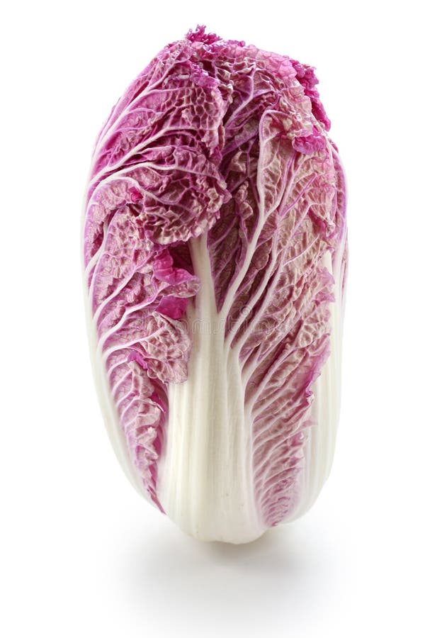 Purple Chinese Cabbage Isolated on White Background. Fresh Cabbage ...