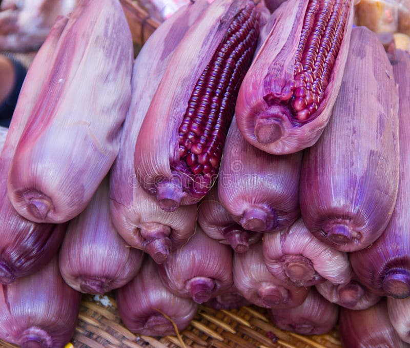 RED CORN COB stock photo. Image of vegetable, husk, masa - 21246490