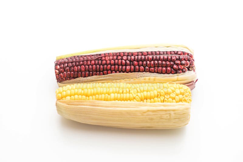 Purple Corn or Black Corn and Normal Corn Stock Image - Image of ...