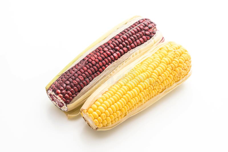 Purple Corn or Black Corn and Normal Corn Stock Image - Image of ...