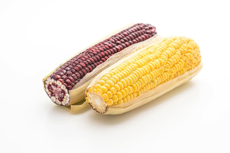 Purple Corn or Black Corn and Normal Corn Stock Photo - Image of ...