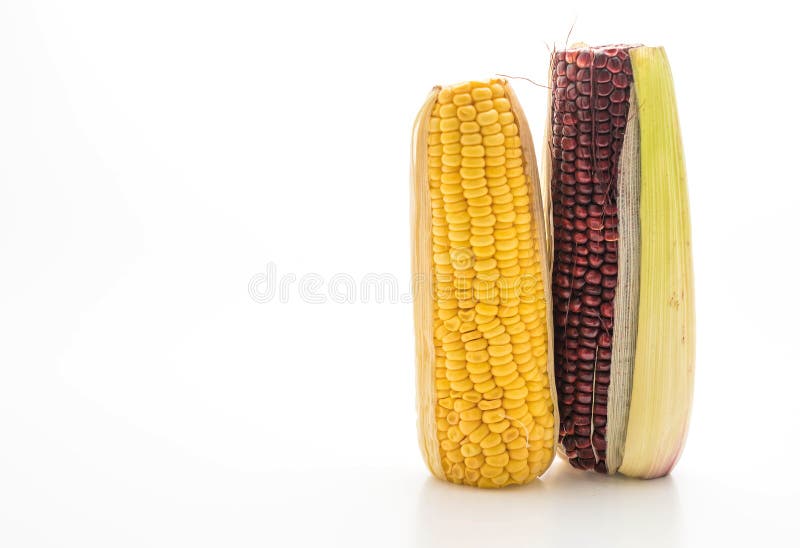 Purple Corn or Black Corn and Normal Corn Stock Image - Image of ...