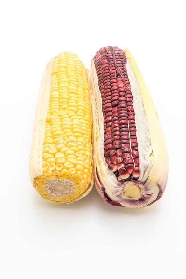 Purple Corn or Black Corn and Normal Corn Stock Photo - Image of sweet ...