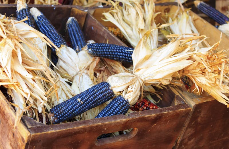 147 Corn Crates Stock Photos - Free & Royalty-Free Stock Photos from ...