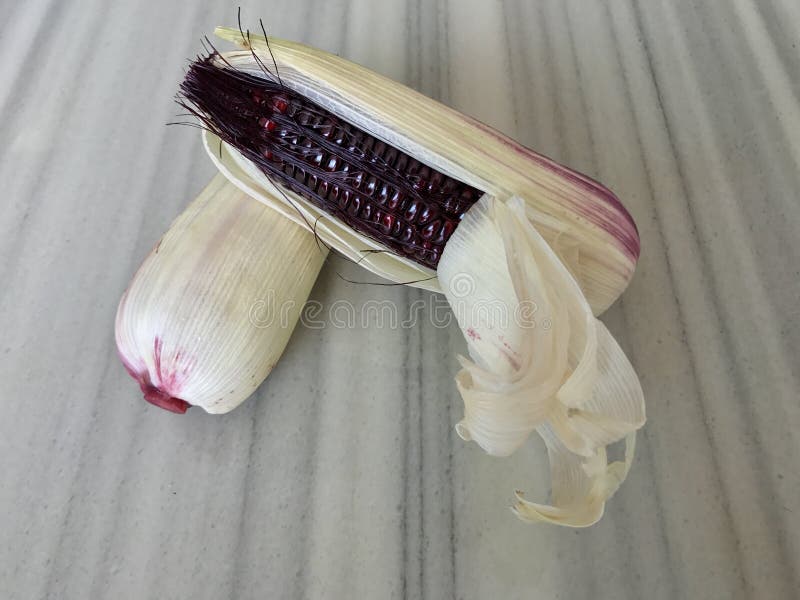 Purple corn stock photo. Image of snack, gourmet, fruit - 97567084