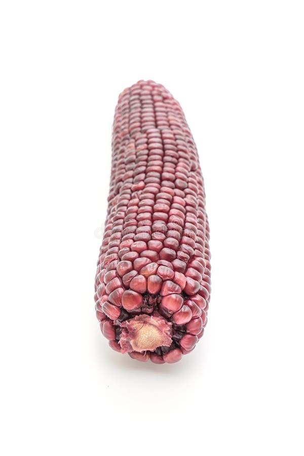 Purple Corn or Black Corn and Normal Corn Stock Photo - Image of sweet ...