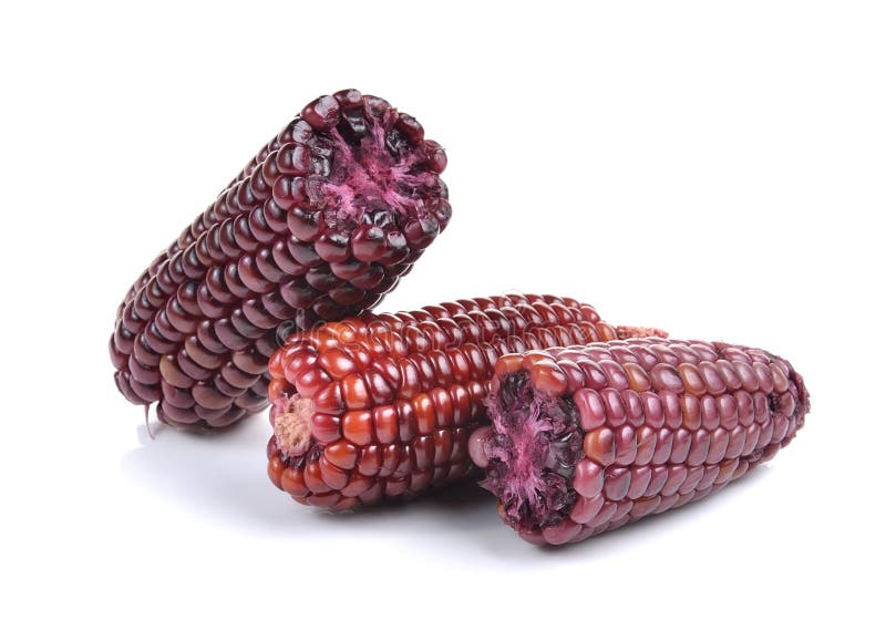 Purple Corn on White Background Stock Photo - Image of healthy ...