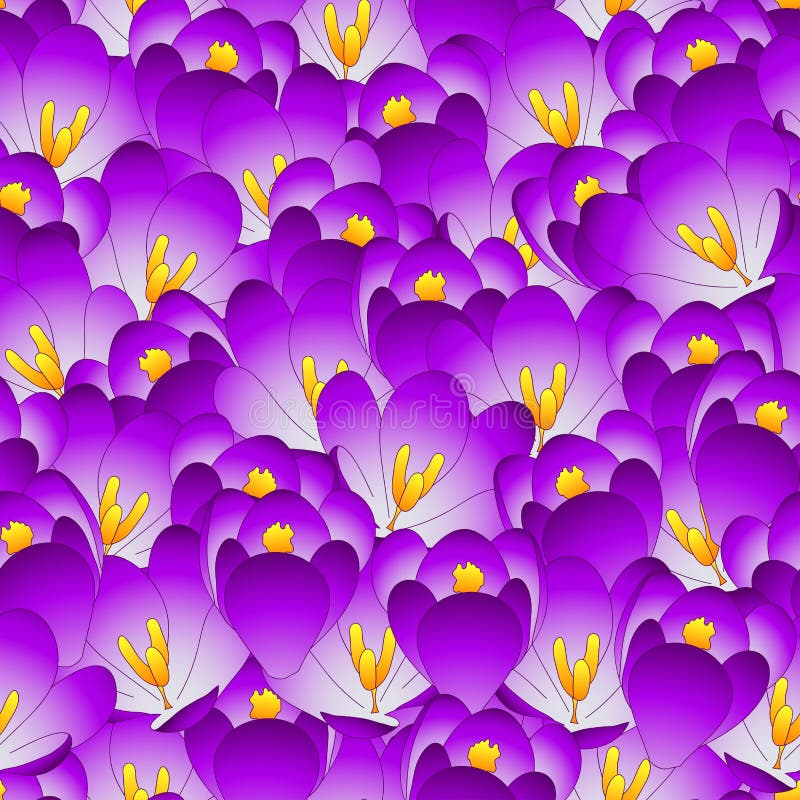 Purple Crocus Flower Seamless Background. Vector Illustration Stock ...