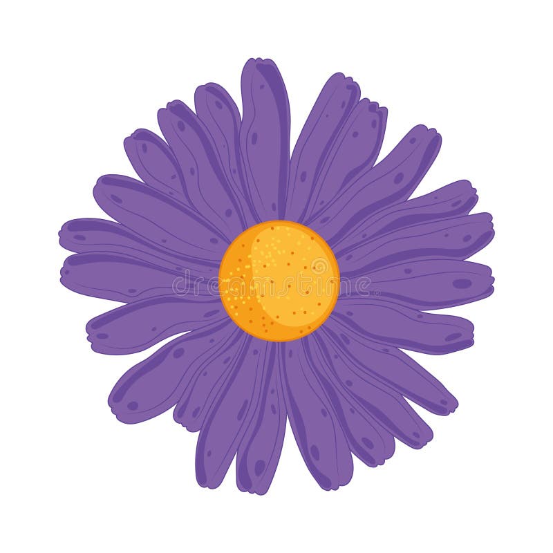 Purple Daisy Flower with Yellow Center in Bloom Vector Stock Vector ...