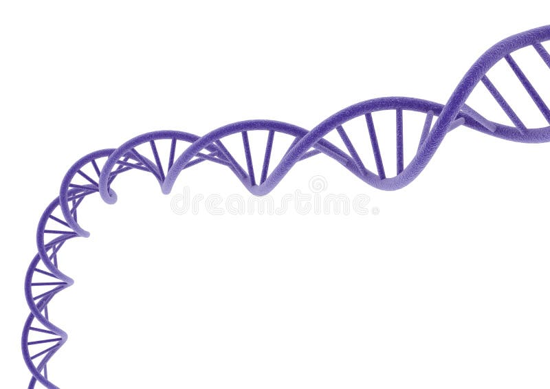 Purple DNA. stock illustration. Illustration of spiral - 72644849