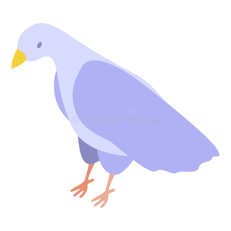 Purple Dove Bird Standing Isometric View Stock Vector - Illustration of ...