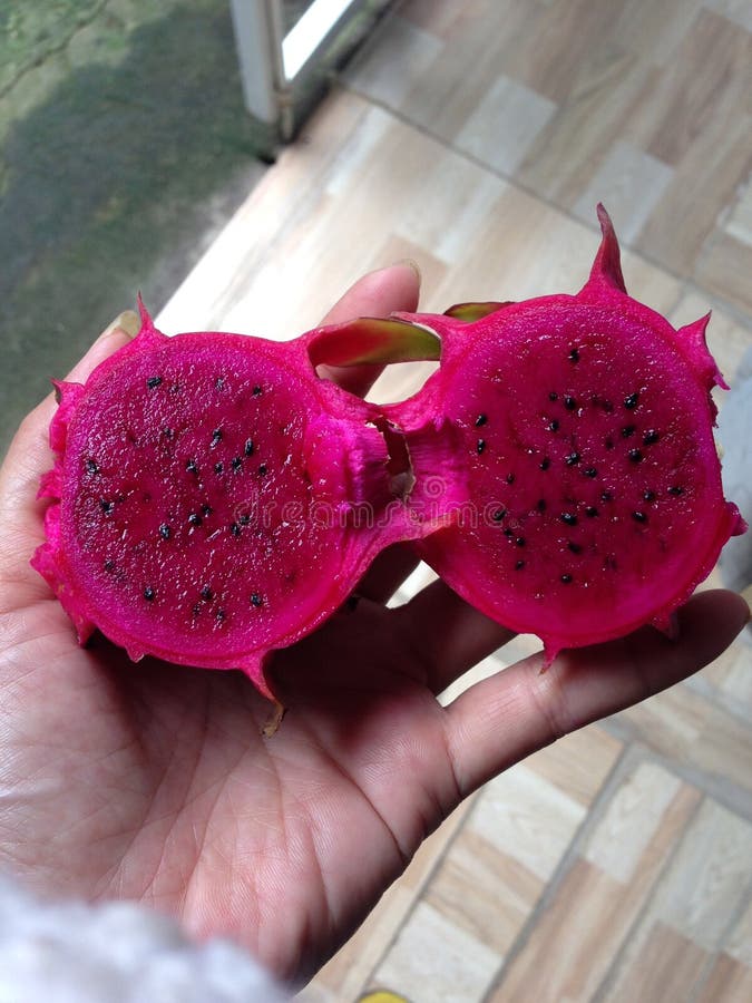 Purple dragon fruit stock photo. Image of purple, fruit - 255088356