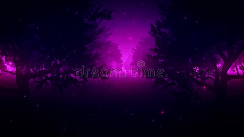 The Enchanted Forest of the Magic Book - Nature Landscape Loop ...