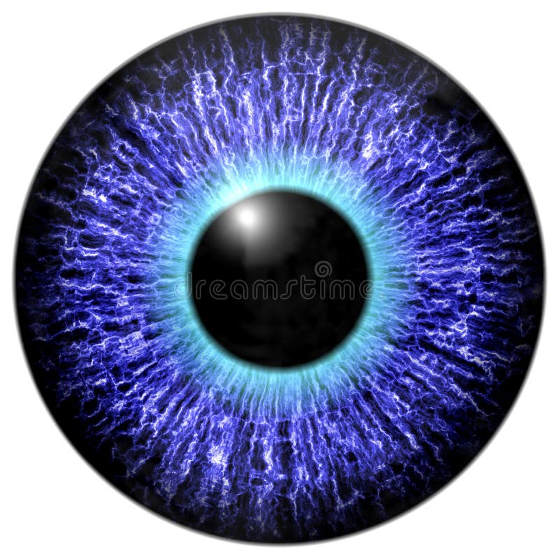 Purple Eye Texture With Black Fringe Stock Illustration - Illustration ...
