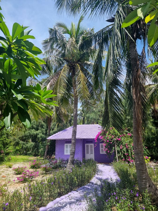 Purple house stock image. Image of purple, estate, cottage - 333500545