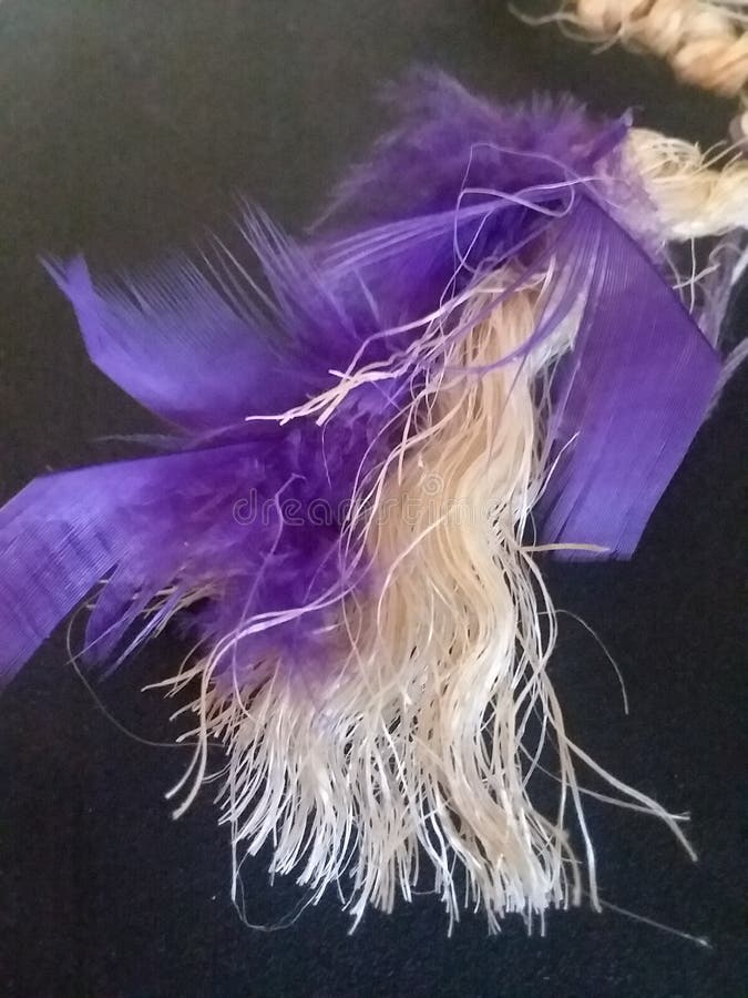 Frayed stock image. Image of frayed, feather, tattered - 118173877