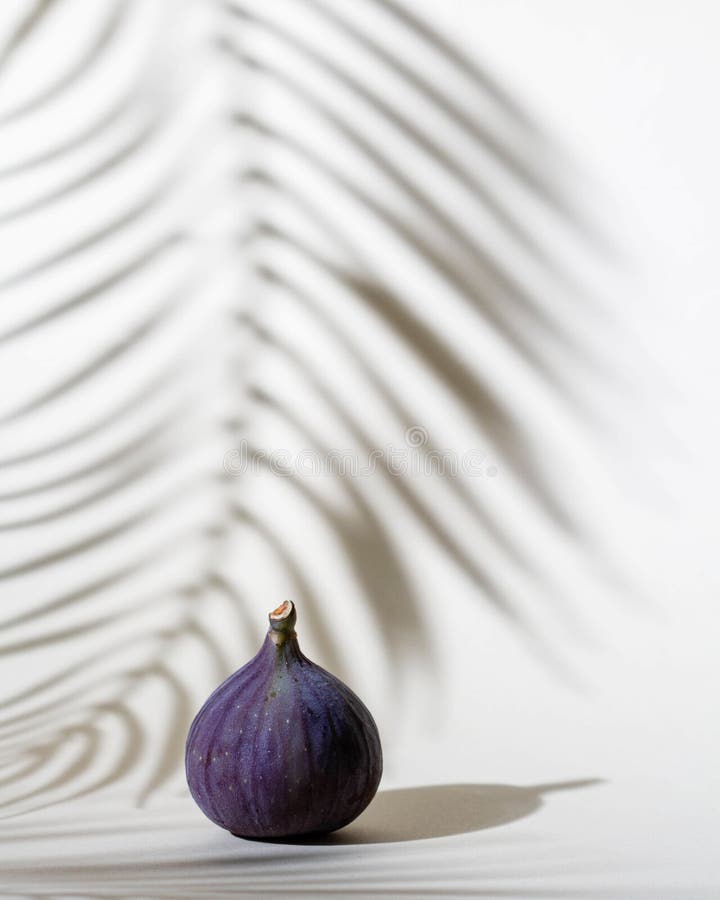 Purple Figs with Shadows from Palm Leaves on Light Background Stock ...