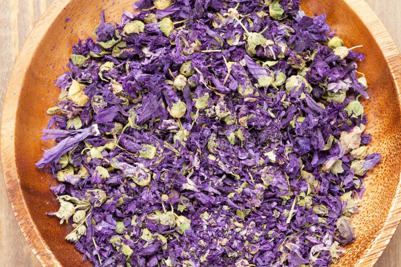 Flower spice tea stock image. Image of leaf, herb, drink - 133064103