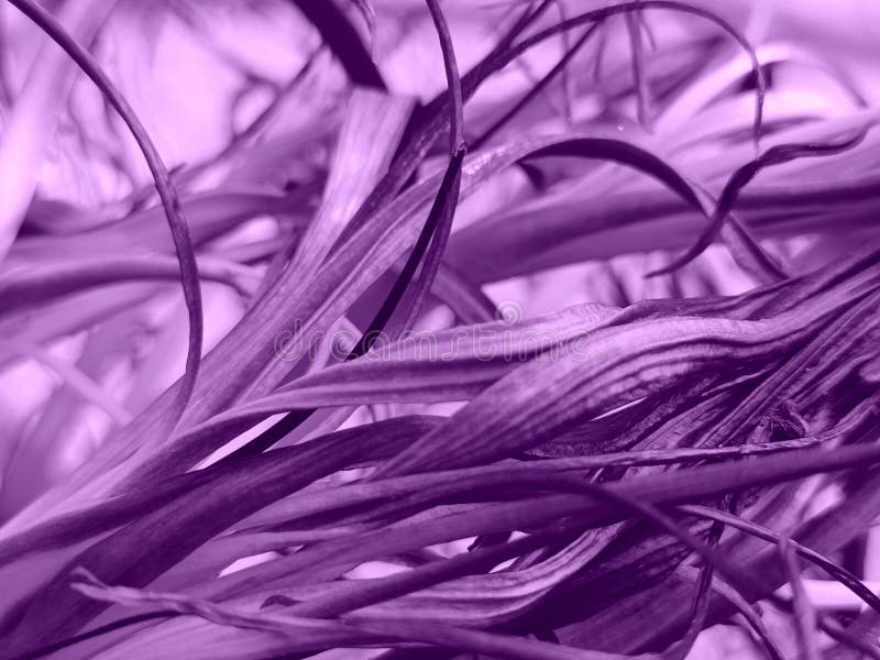 Purple Flower Wallpaper with Wavy Pattern. Stock Photo - Image of ...