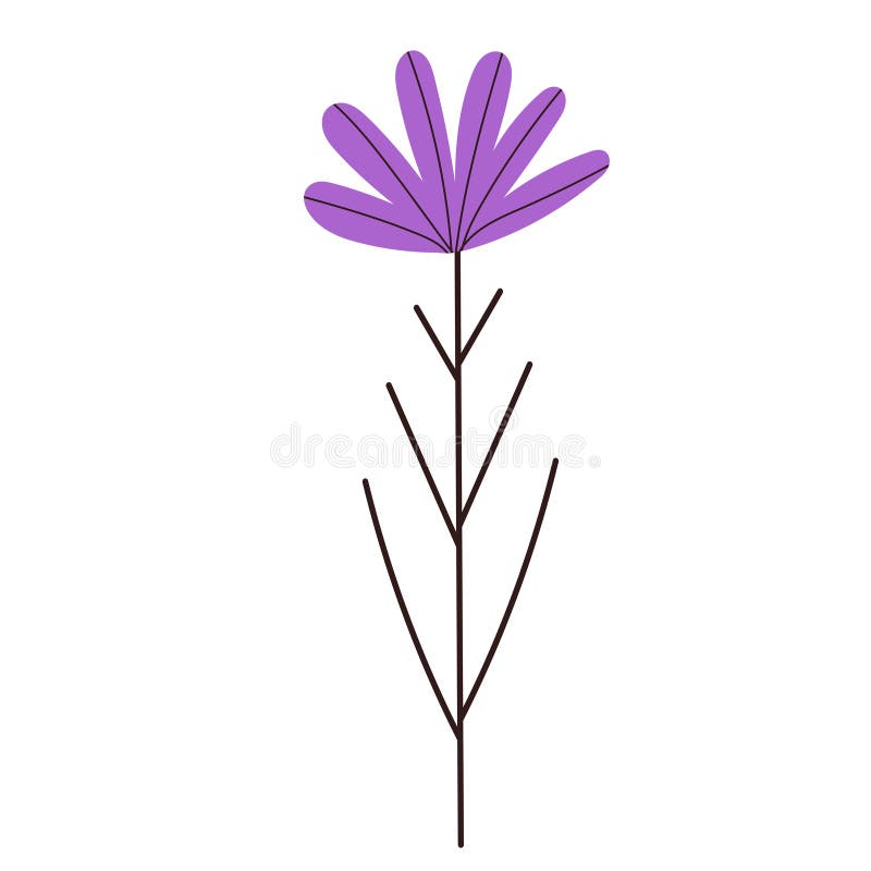 Purple Flower on White Background Vector Vector Stock Illustration ...