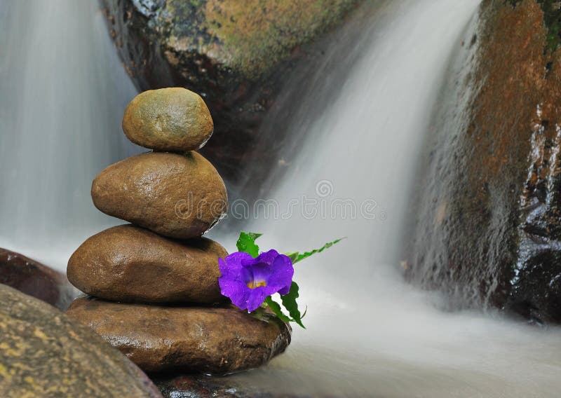 Purple Flower on Zen Rock Set Up with Flowing Water Around it Stock ...
