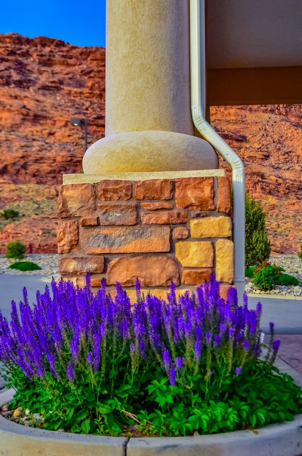 Purple Flowers in the Interior, a Stone Column in a Flower Bed Stock ...