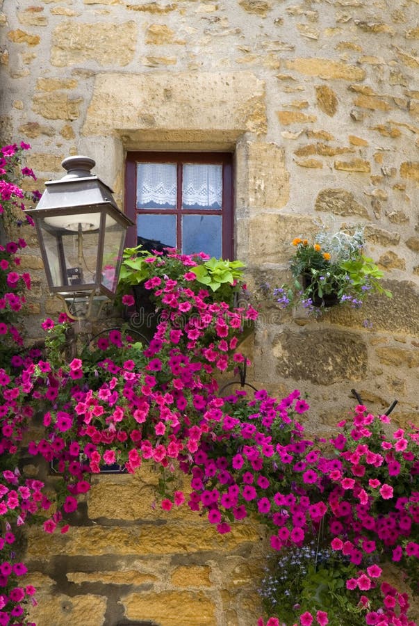 Purple flowers by a window stock image. Image of flowers - 5818127