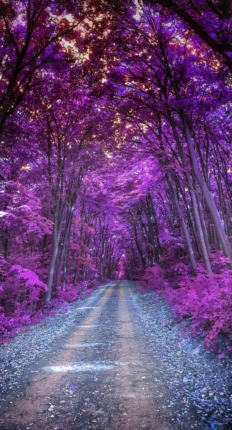1,463 Purple Enchanted Forest Stock Photos - Free & Royalty-Free Stock ...
