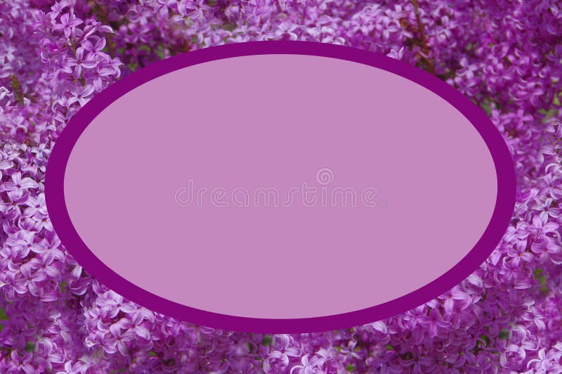 Purple frame . stock photo. Image of horizontal, abstract - 160126024