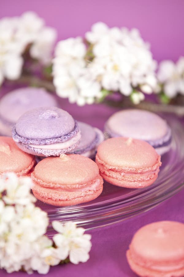 Lavender macarons stock photo. Image of macaroons, high - 17759552
