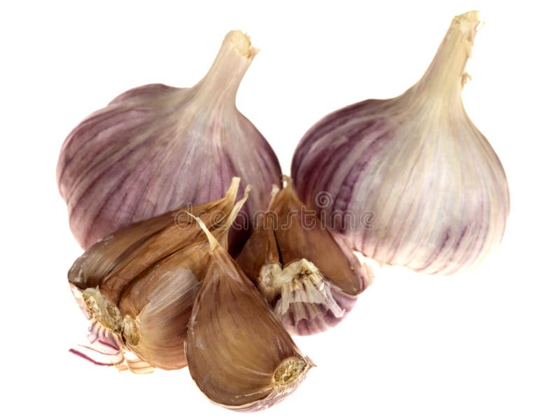 Purple Garlic stock photo. Image of healthy, vegetable - 24479924