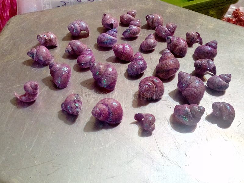 Purple Glittered Colored Tiny Sea Shells Dyed Stock Image - Image of ...