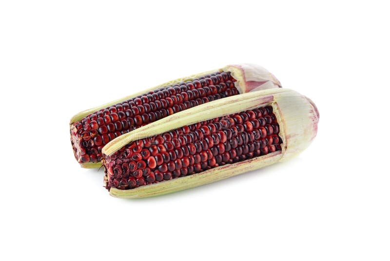 450 Maize Shell Photos - Free & Royalty-Free Stock Photos from Dreamstime