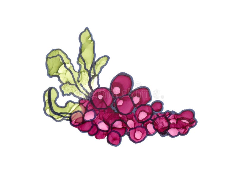 Purple Grape Bunch. Hand Painted with Alcohol Ink Illustration Stock ...