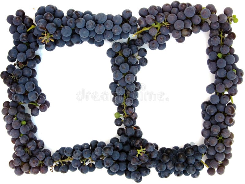 Grape Frame Picture. Image: 6689710