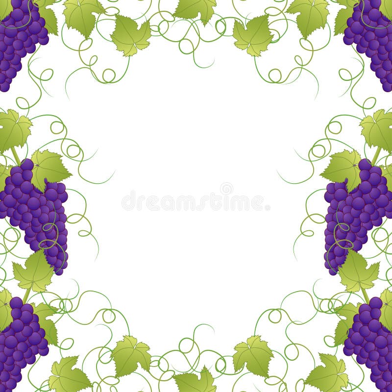 Grape frame stock vector. Illustration of design, draw - 9793833