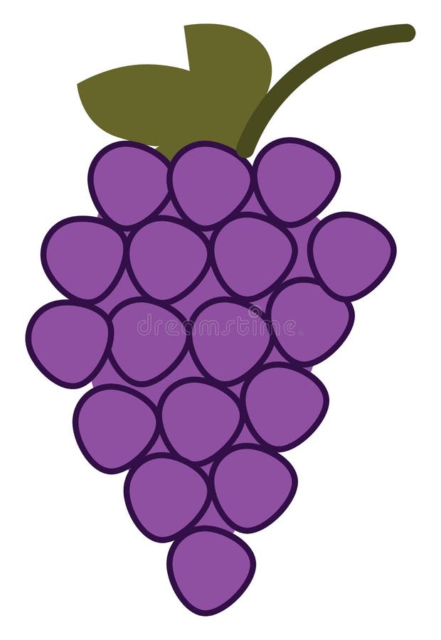 Purple grape, icon stock vector. Illustration of harvest - 261078217