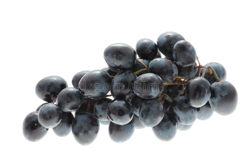 Purple Grapes stock photo. Image of healthy, cluster - 16060114