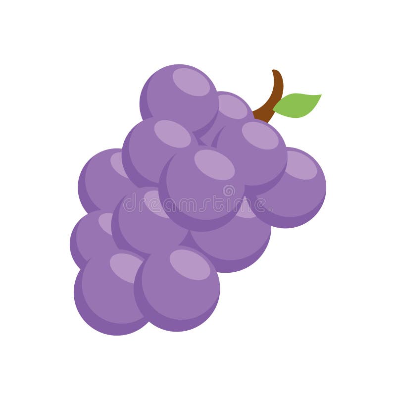 Purple Grapes Bunch Cluster. Vector Stock Vector - Illustration of vine ...